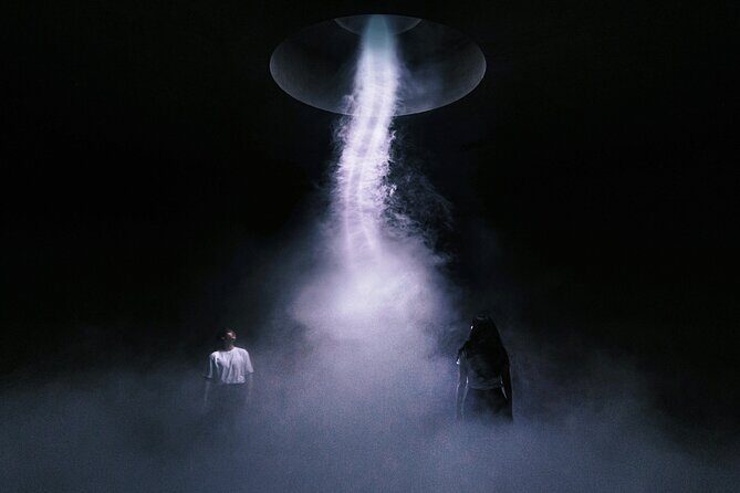 ARTE MUSEUM Immersive Media Art Exhibition in NYC - What’s Included and What’s Not