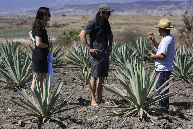 Artisanal Mezcal distillery in an authentic Zapotec village - Traditional Zapotec Breakfast