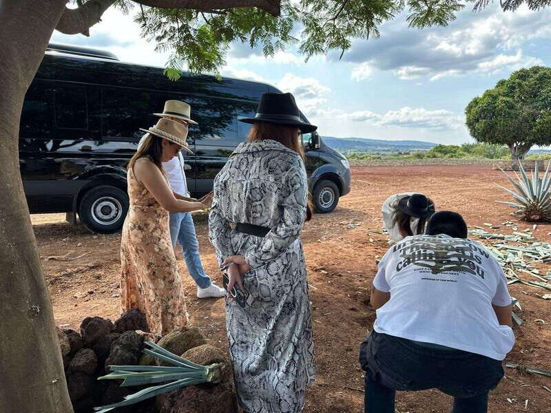 Artisanal Tequila Experience in Private Luxury SUV Local - Who Is This Tour Best For?