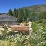 Aspen's Off the Beaten Path Tour - Why Is This Tour a Good Value?