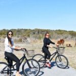 Assateague Island: Bike Rental from the Bayside Stand - Final Thoughts