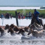Assateague Island Kayak Tours and Ponies Experience - The Price and Its Value