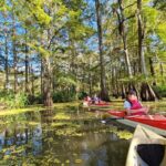 Atchafalaya Basin: 2.5 Hr. Guided Kayak Tour - Why This Tour Offers Great Value