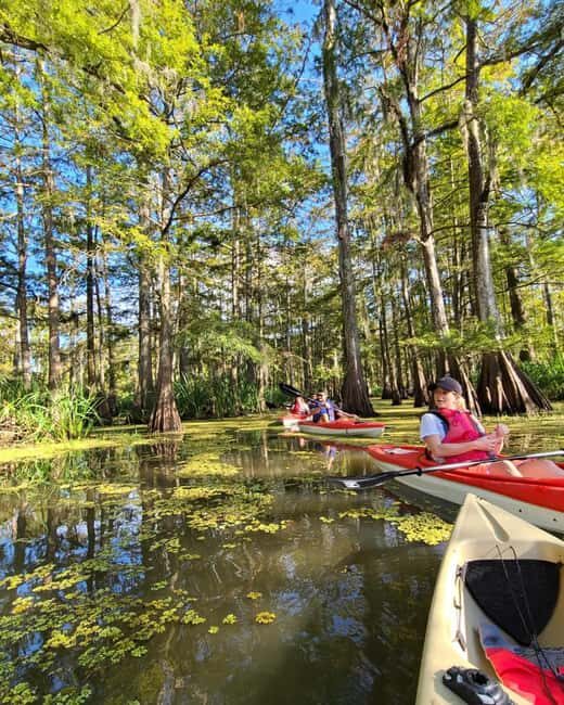 Atchafalaya Basin: 2.5 Hr. Guided Kayak Tour - Why This Tour Offers Great Value