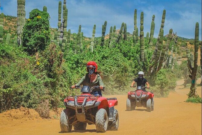 ATV Adventure from Cabo San Lucas - The Sum Up