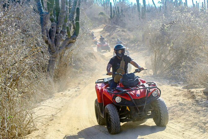 ATV and Camel Experience Los Cabos - What Reviewers Say