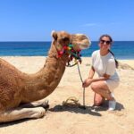 ATV and Camel Ride Combo Tour in Los Cabos - The Value Proposition