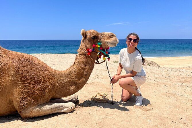 ATV and Camel Ride Combo Tour in Los Cabos - The Value Proposition