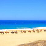 ATV Automatic 4X4 & Horseback riding in Cabo by Cactus Tours - What to Expect: A Closer Look at the Experience