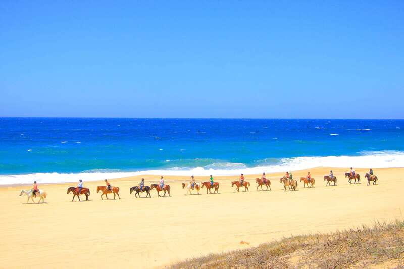 ATV Automatic 4X4 & Horseback riding in Cabo by Cactus Tours - What to Expect: A Closer Look at the Experience