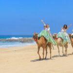 ATV & Camel Ride Tour on Migriño Beach - Additional Details and Practical Considerations