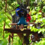 Atv Cancun (cenote, Ziplines, Lunch And Transfer Included) - What Do the Reviews Tell Us?