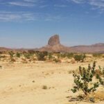 ATV Desert Adventure in Baja California Sur with Tequila Tasting - The Experience for Different Travelers