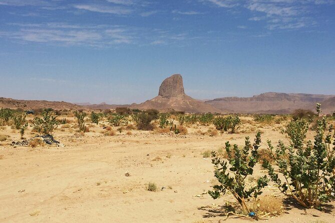 ATV Desert Adventure in Baja California Sur with Tequila Tasting - The Experience for Different Travelers