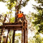 ATV Jungle Ride, Cenote & Ziplines! Roundtrip - Playa Del Carmen - Practical Details & What You Should Know