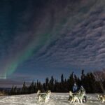 Aurora Activity at Sluice Box Sled Dogs - The Sum Up: Who Will Love This Tour?