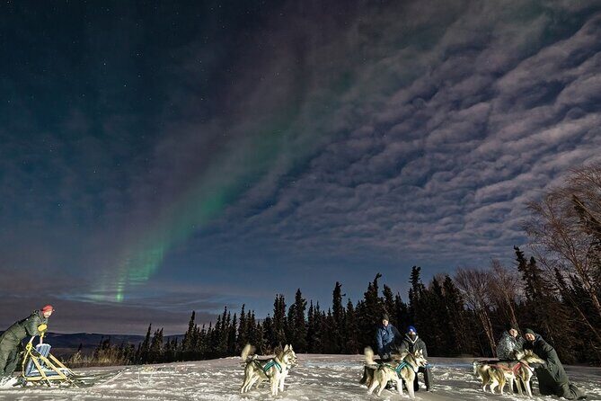 Aurora Activity at Sluice Box Sled Dogs - The Sum Up: Who Will Love This Tour?