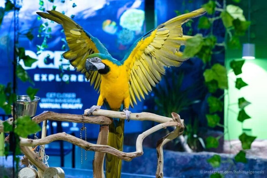 Austin Aquarium Entry Ticket - Why the Austin Aquarium Is Worth Visiting