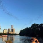 Austin: Bat Bridge Sunset Kayak Tour - Authentic Insights from Past Participants