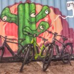 Austin: Electric Bike City Sightseeing Tour - Who Should Consider This Tour?