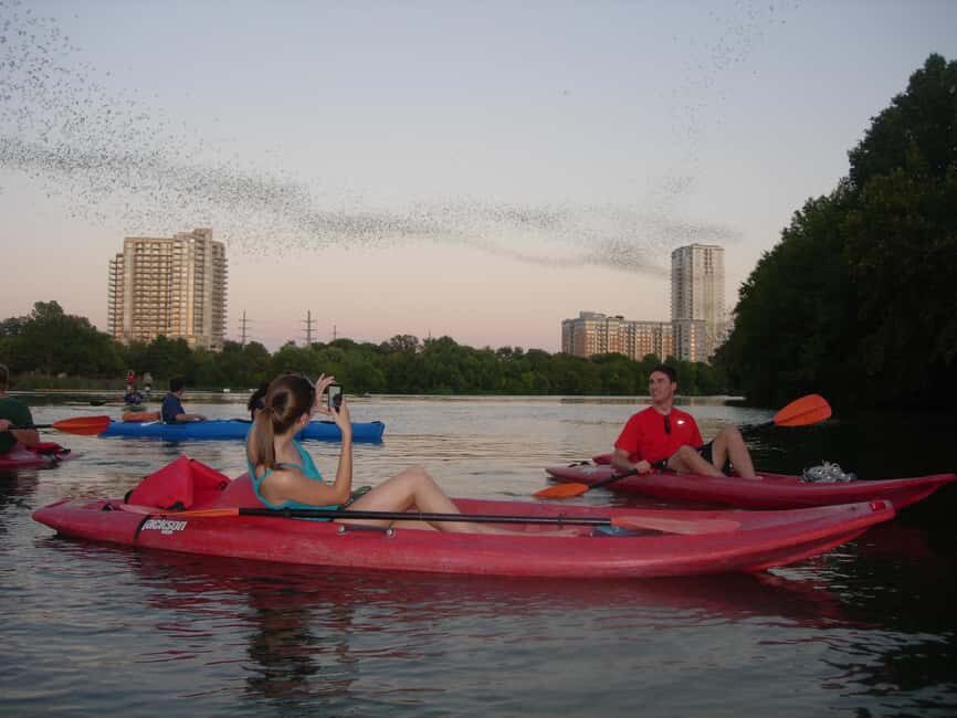 Austin: Guided Bat-Watching Kayak Tour - Value and Costs