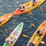 Austin: Single or Double Kayak Rental - The Itinerary and Experience Breakdown
