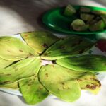 Authentic Rural Mexican Experience Adventure - What Travelers Are Saying