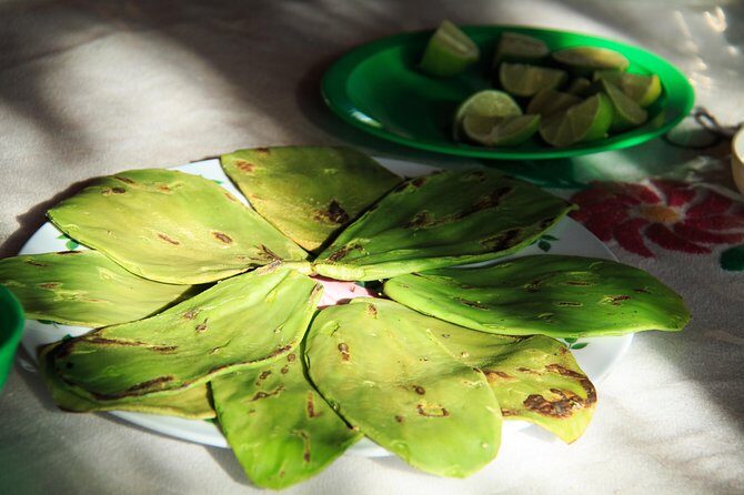 Authentic Rural Mexican Experience Adventure - What Travelers Are Saying