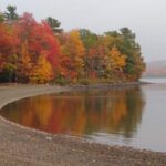 Autumn in Acadia National Park Private Leaf Peeper Driving Tour - Who Should Consider This Tour?