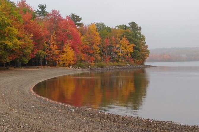 Autumn in Acadia National Park Private Leaf Peeper Driving Tour - Who Should Consider This Tour?
