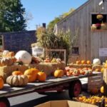 Autumn in New England - Final Thoughts: Is It Worth It?