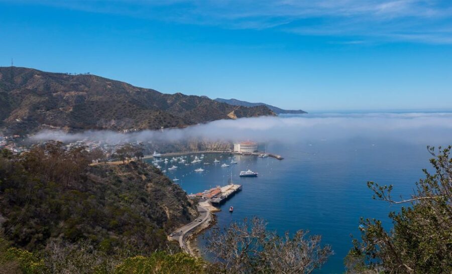 Avalon, Catalina Island: 2-Hour Inside Adventure Tour - Is It Worth the Price?