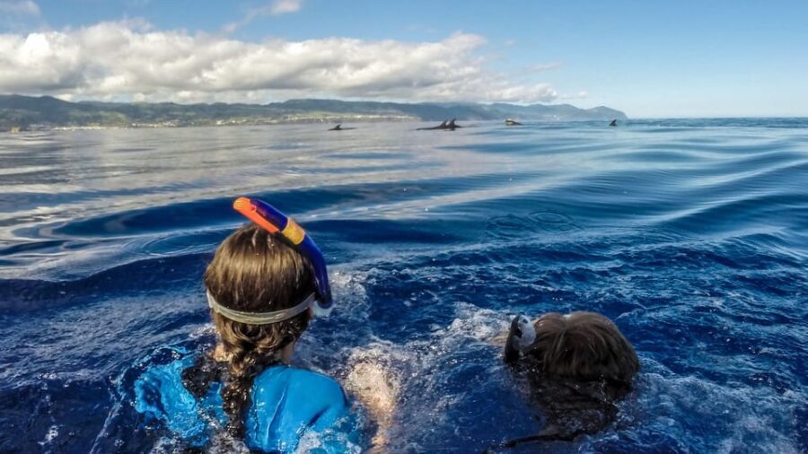 Azores: Swim with Dolphins Atlantic Experience - The Itinerary in Detail