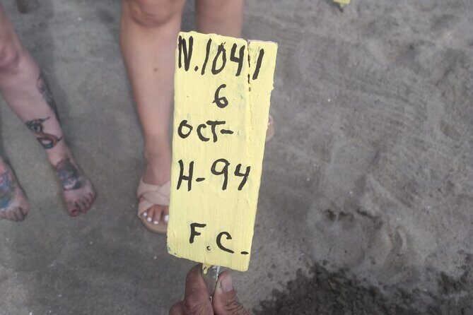 Baby Sea Turtle Releasing Sightseeing Tour with Luis de la Maza - Considerations and Practical Notes