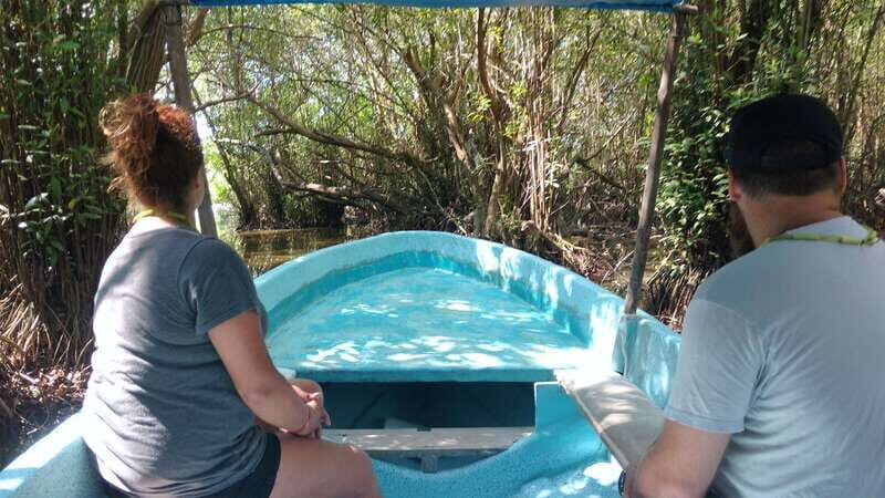 .Baby Turtle Release, Lagoon Boat Ride, and Crocodile Farm - Why This Tour Delivers Value