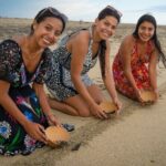 Baby Turtle Release Tour + Pick up + Courtesy in Puerto Escondido! - Real Experiences and Authentic Feedback