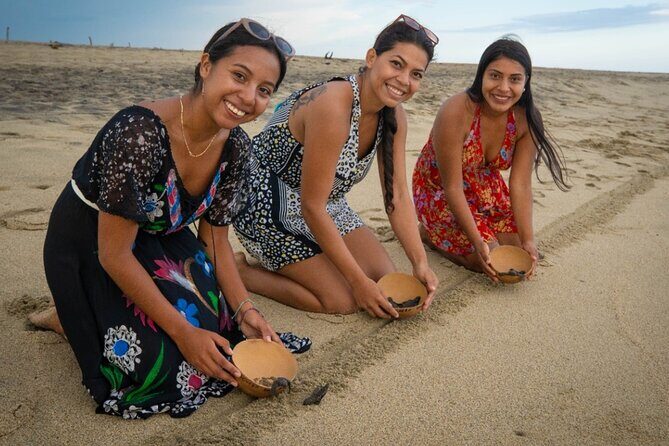 Baby Turtle Release Tour + Pick up + Courtesy in Puerto Escondido! - Real Experiences and Authentic Feedback