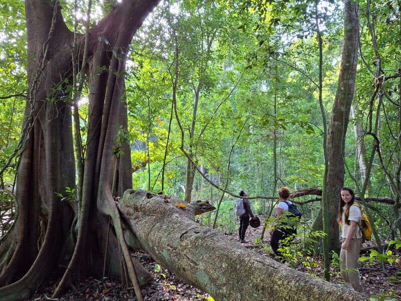 Bacalar: Calakmul Ruins Day Trip with a Stop In The Jungle - The Value of the Experience