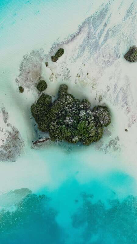 Bacalar & Cenotes: 3 hours kayak rental with snorkeling gear - The Itinerary: A Day in Bacalar’s Crystal Waters