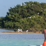 Bacalar: Full Day Kayak Rental in the Lagoon of Seven Colors - The Experience and Practical Tips