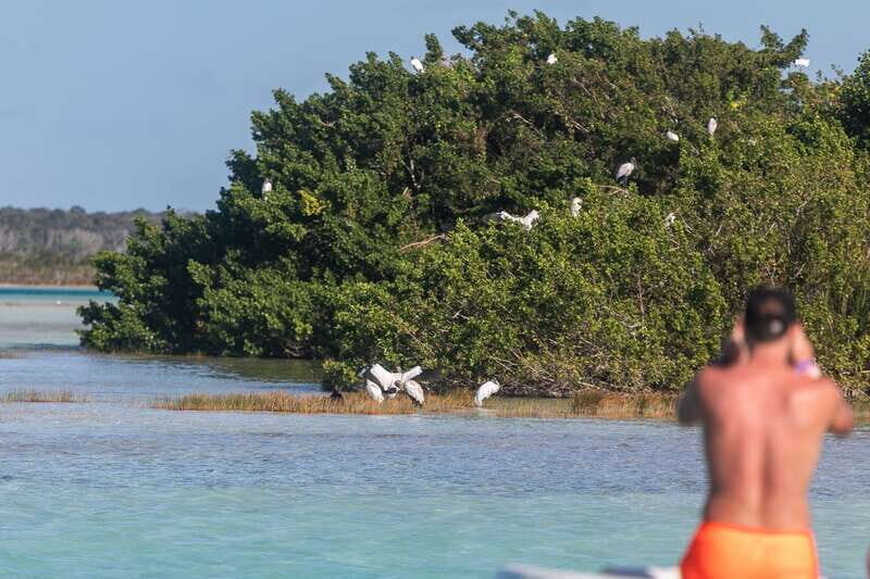 Bacalar: Full Day Kayak Rental in the Lagoon of Seven Colors - The Experience and Practical Tips
