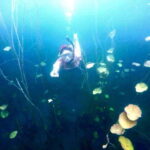 Bacalar: Magnificent Bacalar Lagoon Exclusive Boat Tour - The Value of a Guided Boat Tour