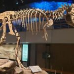 Badlands Tour: Drumheller with Museum, Hoodoos & Coal Mine - Who Is This Tour Best For?