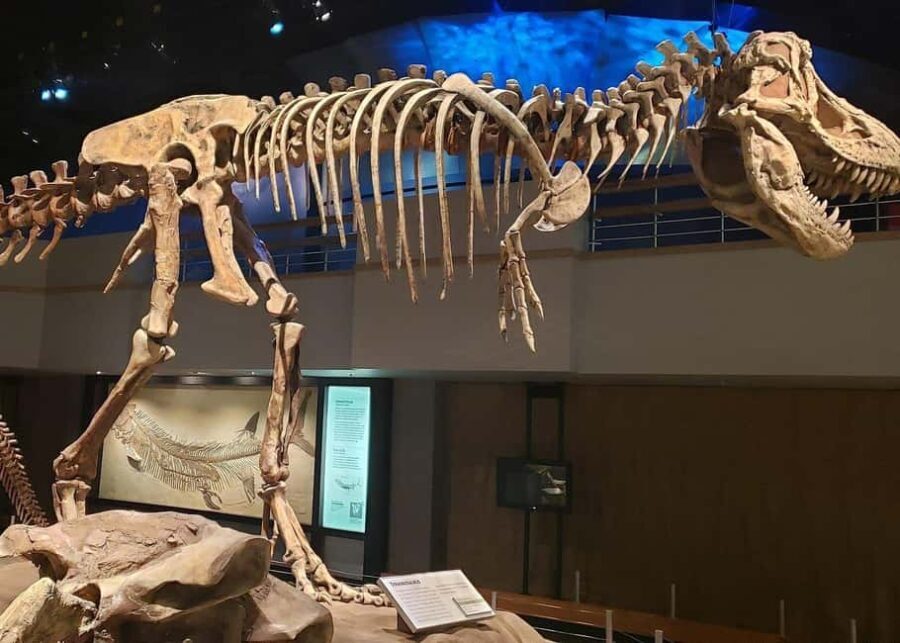 Badlands Tour: Drumheller with Museum, Hoodoos & Coal Mine - Who Is This Tour Best For?