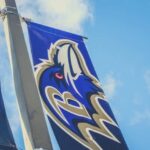 Baltimore: Ravens Football Game Ticket at M&T Bank Stadium - Final Thoughts: Is This Experience for You?