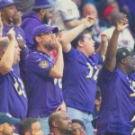 Baltimore Ravens Football Game Ticket at M&T Bank Stadium - The Value of the Experience
