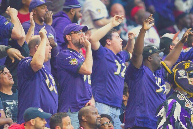 Baltimore Ravens Football Game Ticket at M&T Bank Stadium - The Value of the Experience