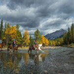 Banff: 4-Hour Sulphur Mountain Intermediate Horseback Ride - The value of this horseback experience