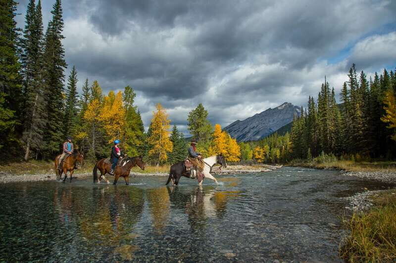 Banff: 4-Hour Sulphur Mountain Intermediate Horseback Ride - The value of this horseback experience