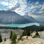 Banff and Jasper National Parks: Tour with Transport - Transportation and Comfort